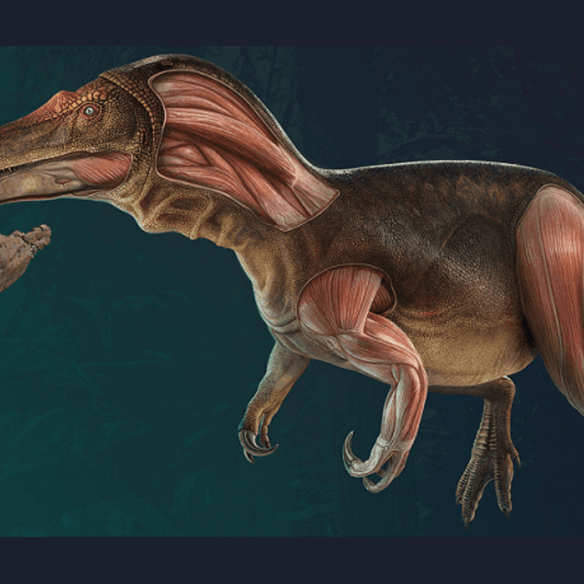 Dinossauros Da Terra Nova 70 Milhões De Anos: Dinossauro Com Braços