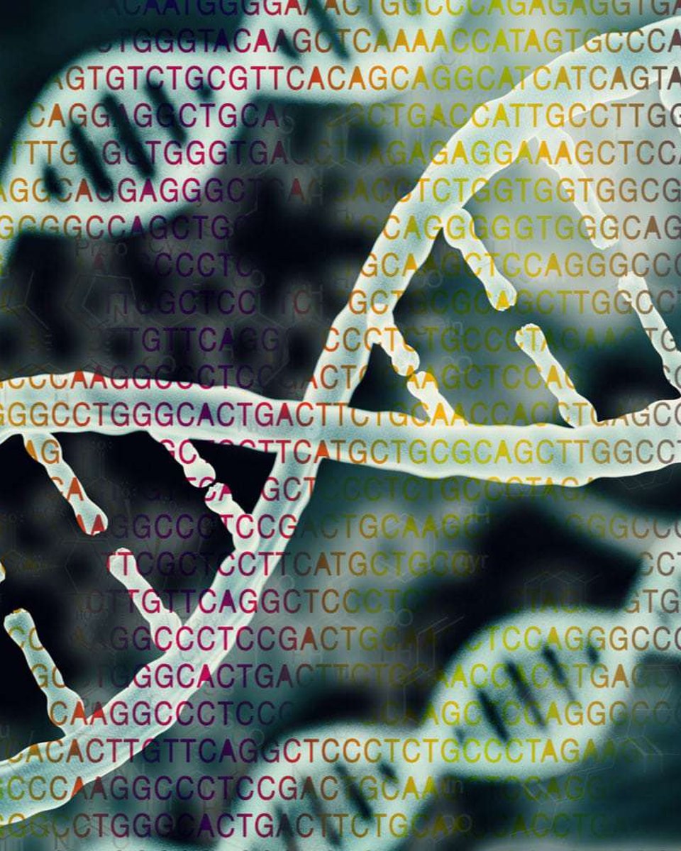 Sequencia Do Genoma Humano 7 Curiosidades Sobre O Genoma Humano