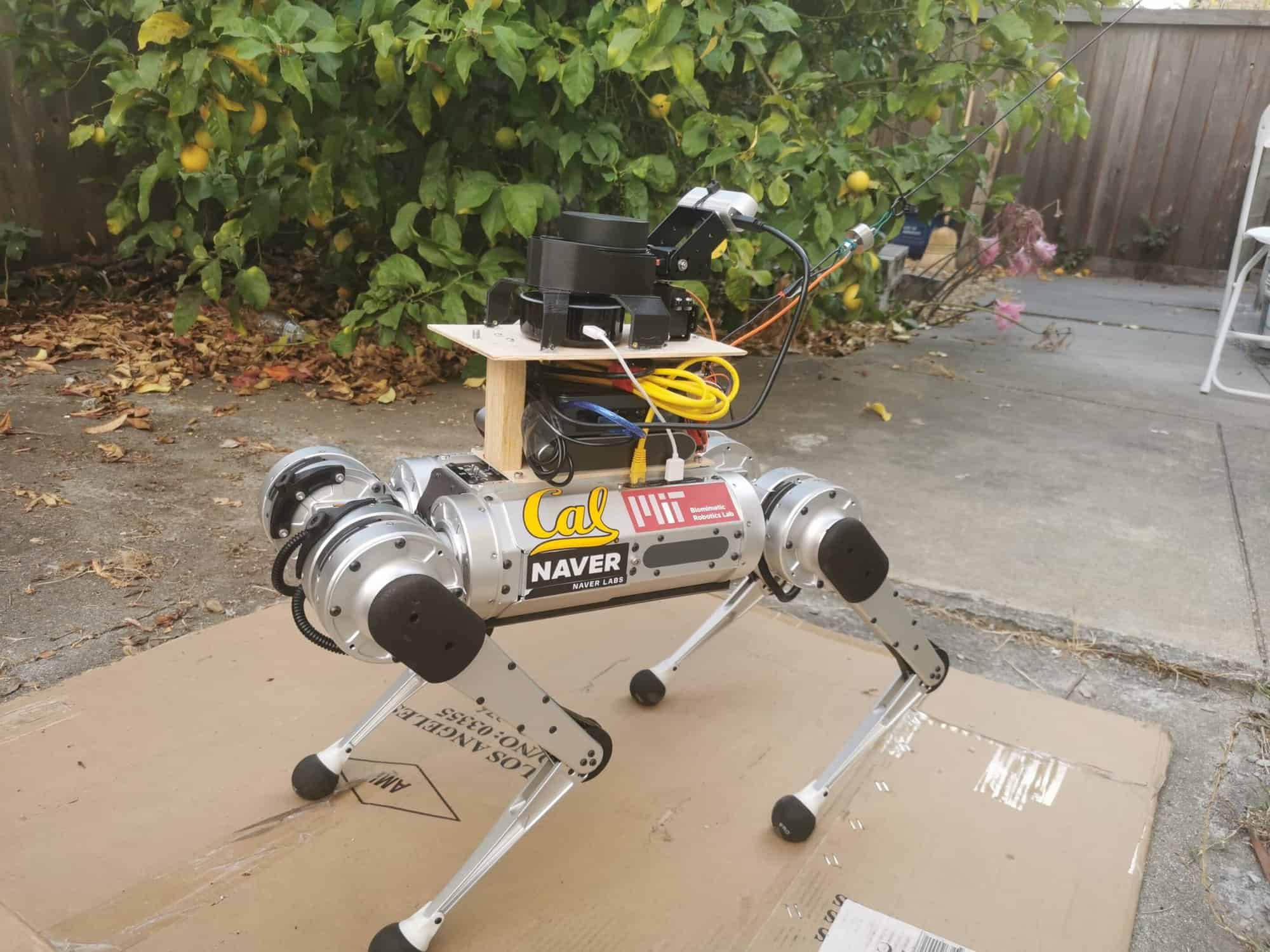 Pesquisadores desenvolvem cão-guia robô - Olhar Digital