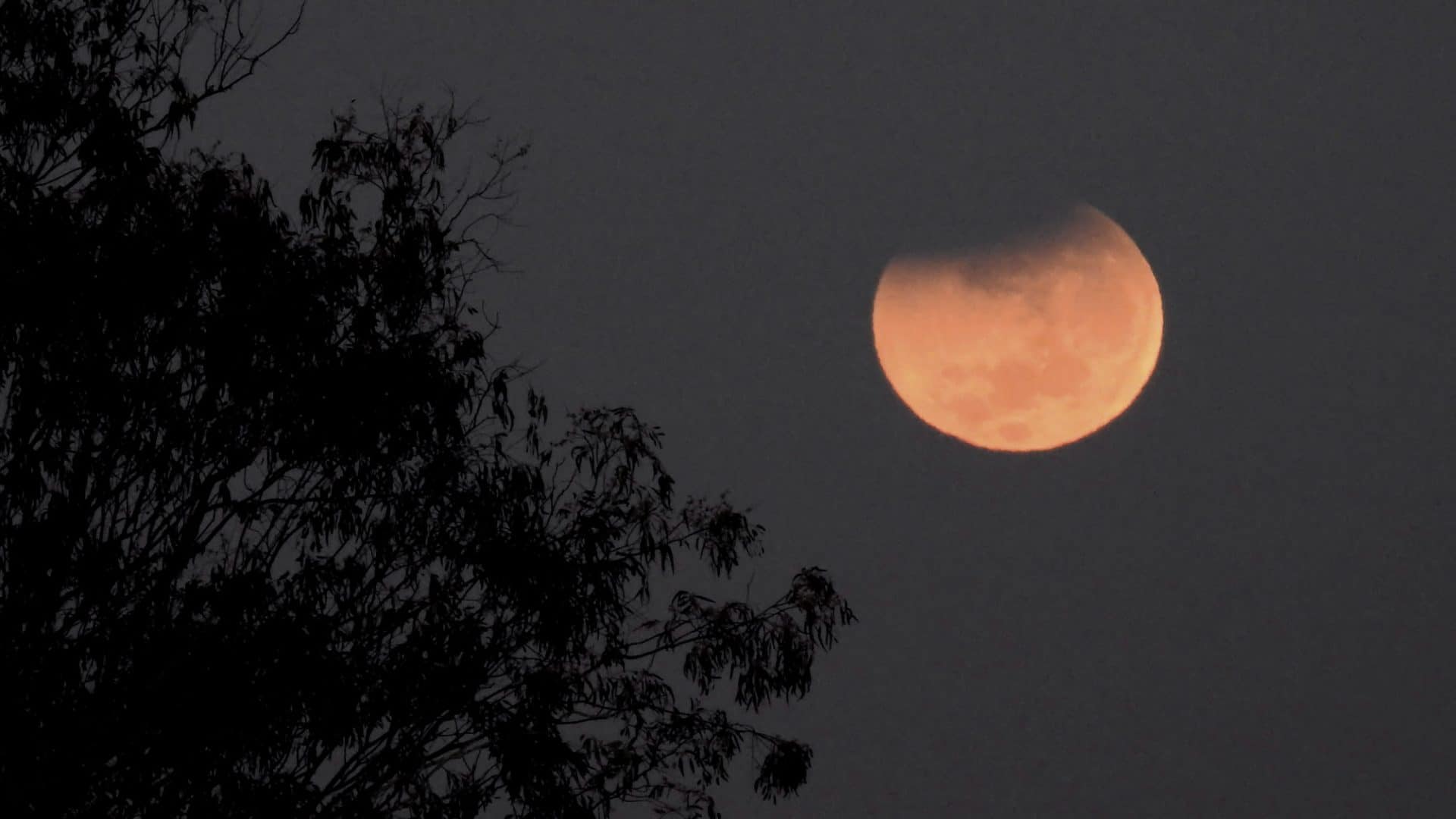 Veja fotos do eclipse da Lua pelo Brasil e pelo Mundo - Olhar Digital