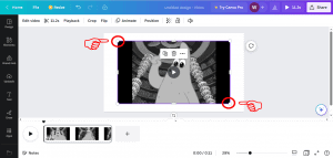 Como editar vídeos no Canva - Olhar Digital