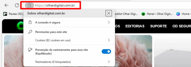Como saber se um site é confiável? - Olhar Digital