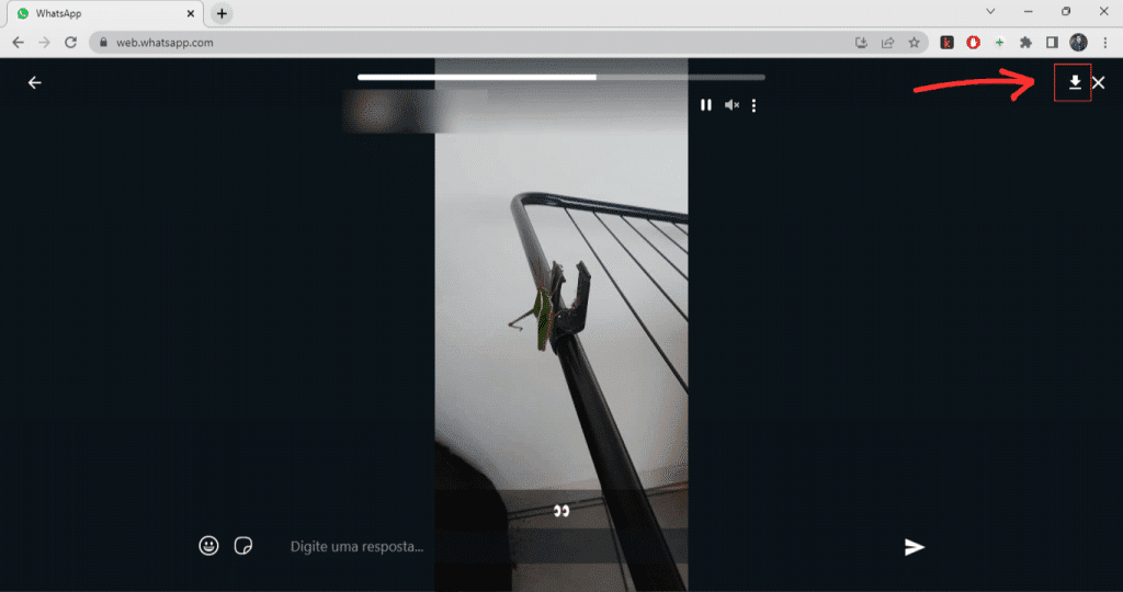 Como salvar ‘status’ visualizados no WhatsApp Web - Olhar Digital