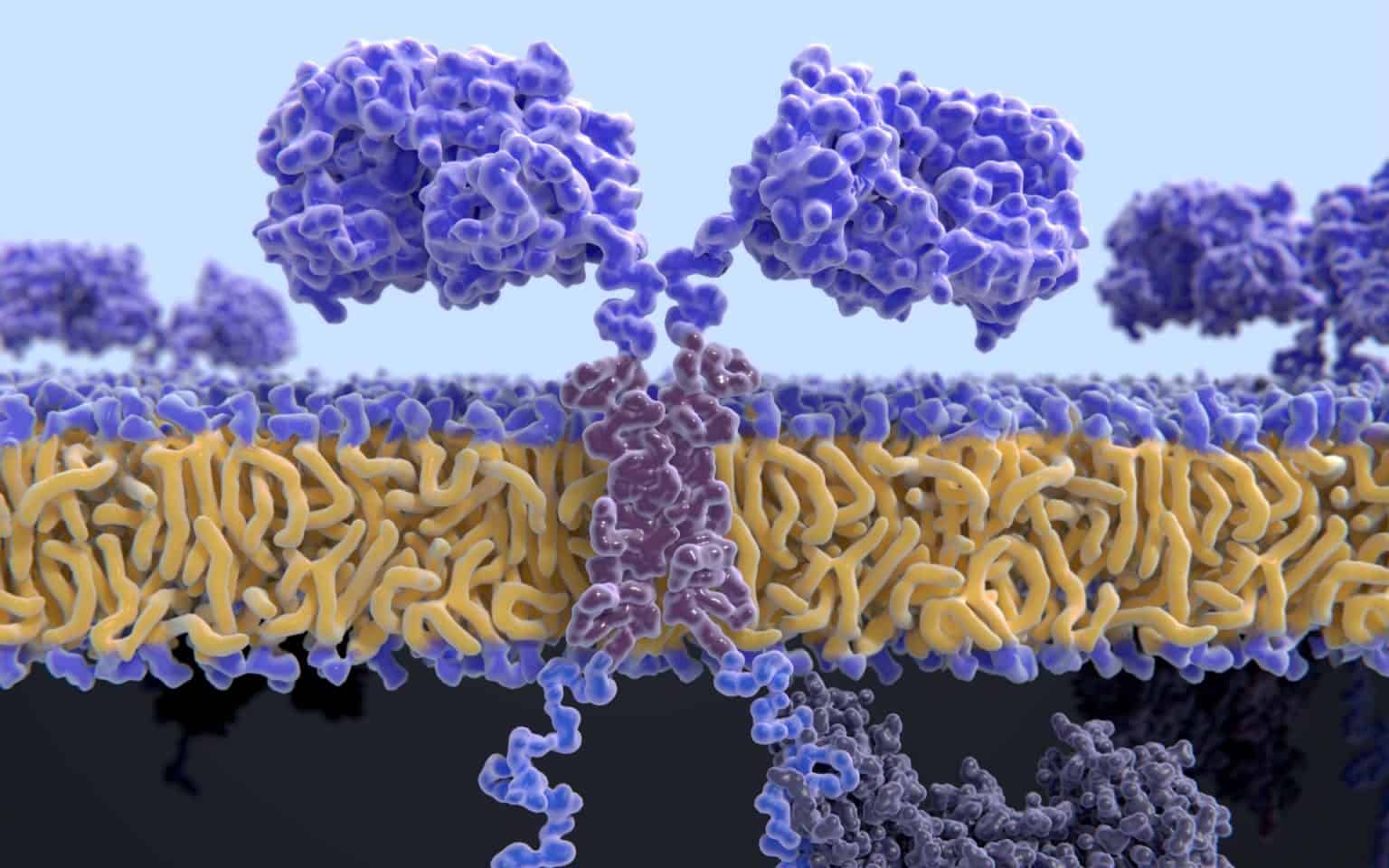 5 tratamentos inovadores contra câncer que você precisa conhecer