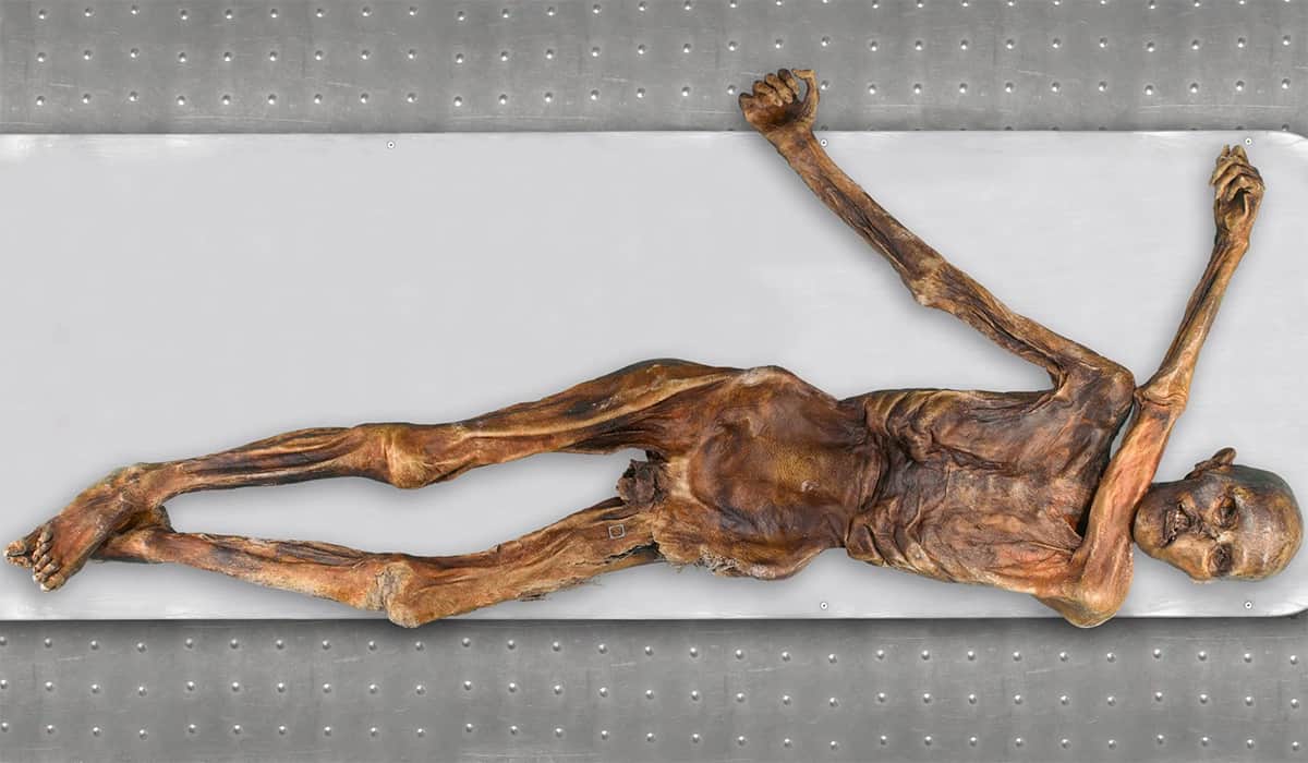 Ötzi, o “Homem de Gelo”, tem verdadeira aparência revelada