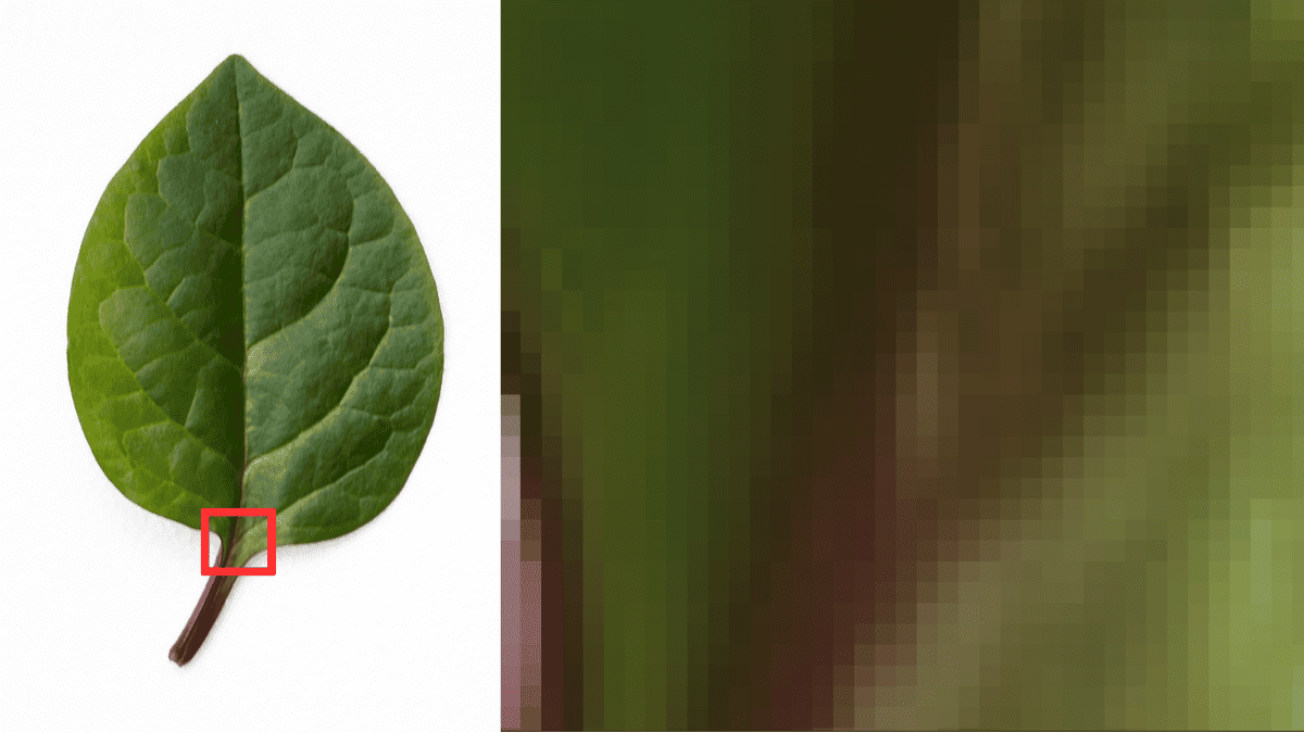 O que é um pixel e para que serve? - Olhar Digital