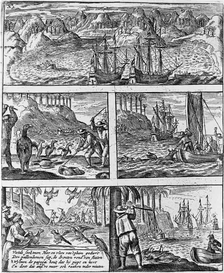 O que são dodôs? Conheça espécie extinta e como ciência quer revivê-la