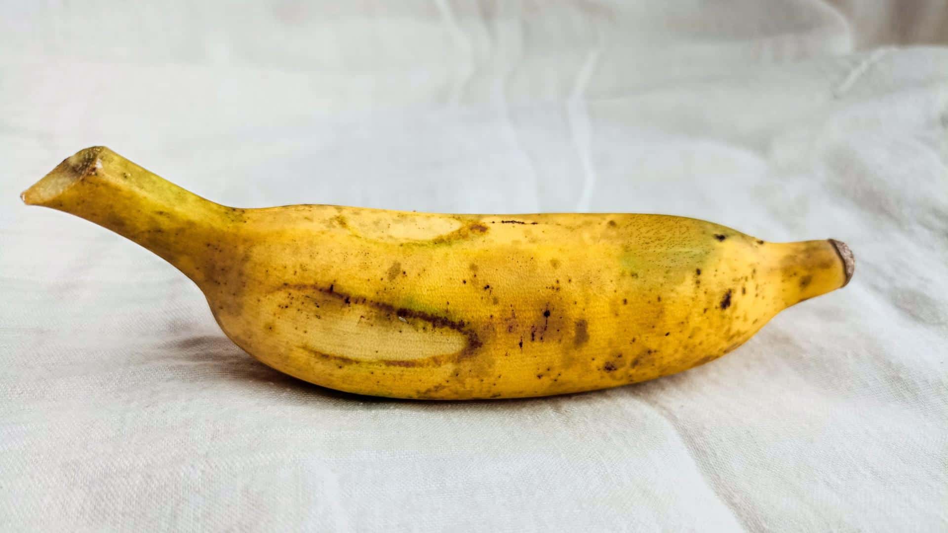 Por que a banana é torta? - Olhar Digital