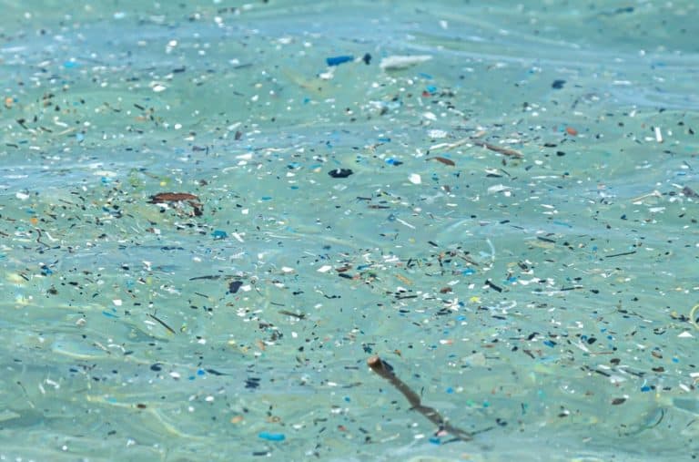 Microplásticos podem se alojar no cérebro, alertam cientistas