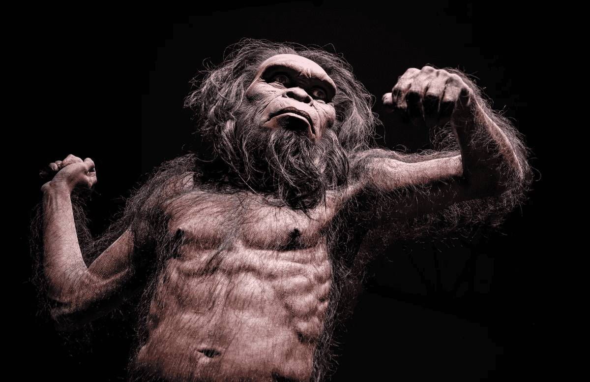 Quantas espécies humanas já passaram pela Terra?