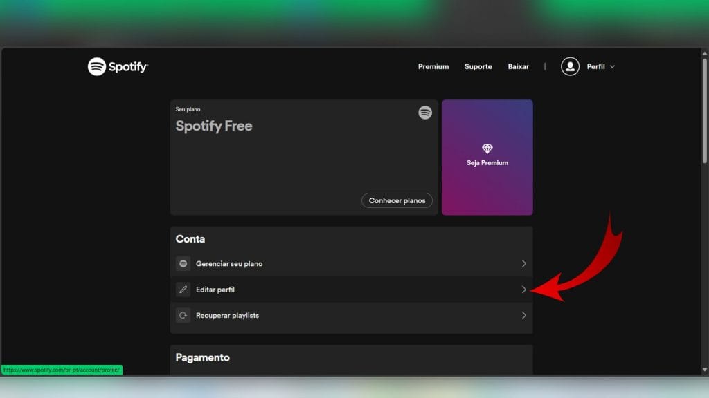 Spotify: como mudar e-mail de cadastro - Olhar Digital