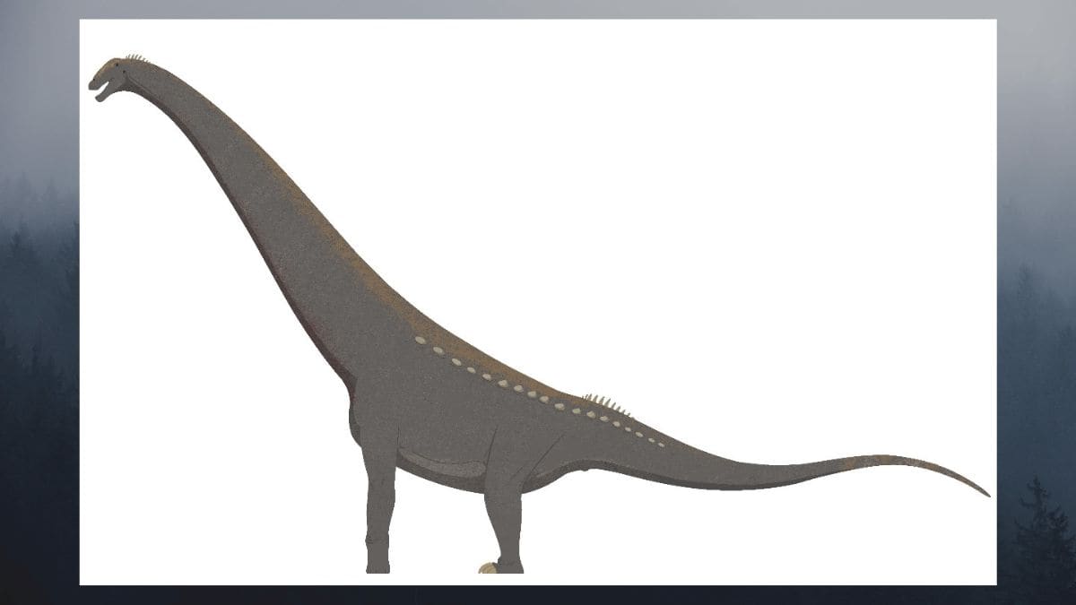 Quais dinossauros existiram onde hoje é o Brasil? - Olhar Digital