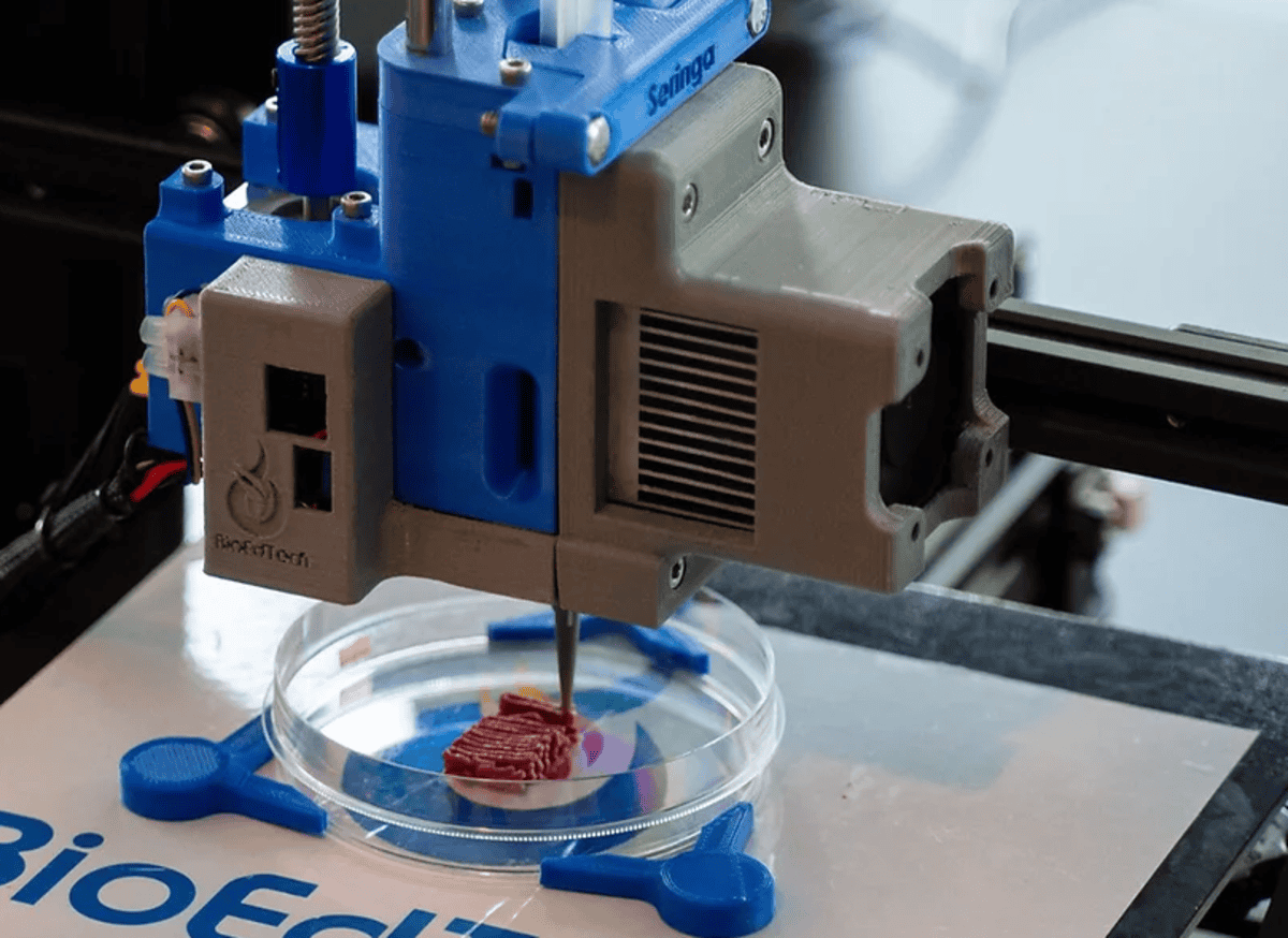 Impressora 3D cria comida real feita no computador