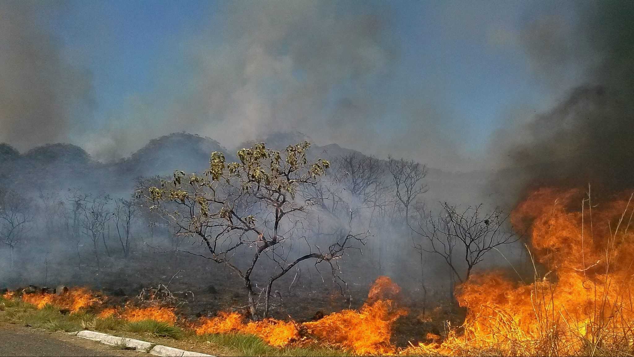 Queima de restos de madeira piora qualidade do ar na Amazônia