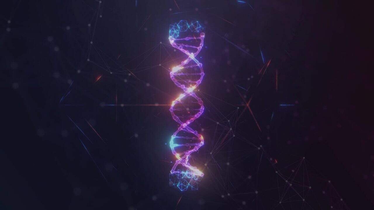 Peixe com genoma maior que o nosso pode explicar evolução