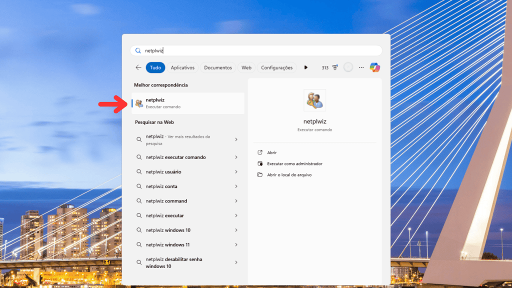 O que é e como usar o comando netplwiz? - Olhar Digital