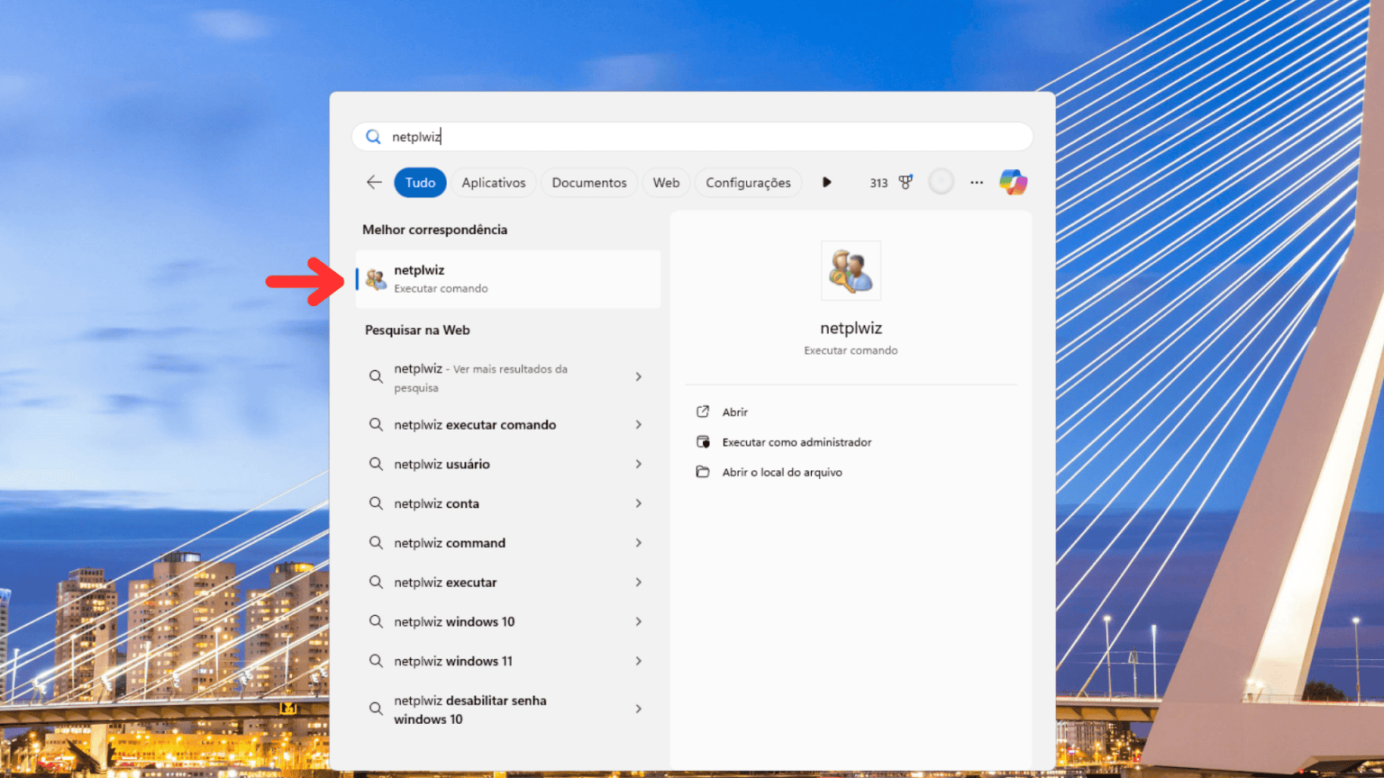 O que é e como usar o comando netplwiz? - Olhar Digital