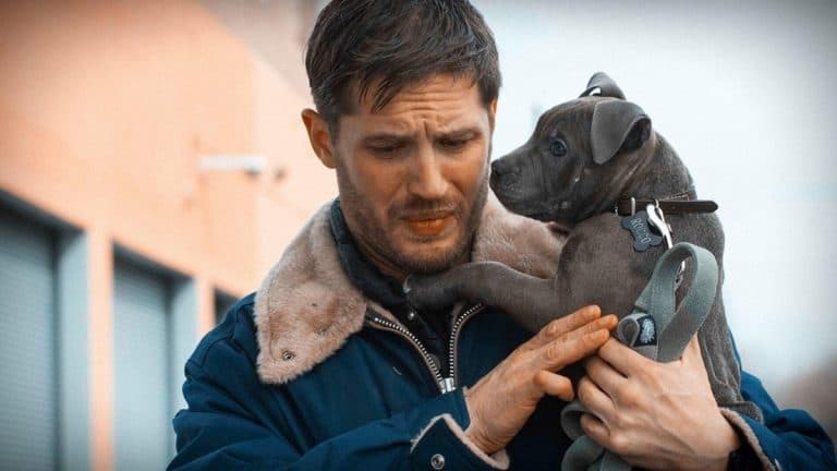 10 melhores filmes com Tom Hardy na Netflix e outros streamings