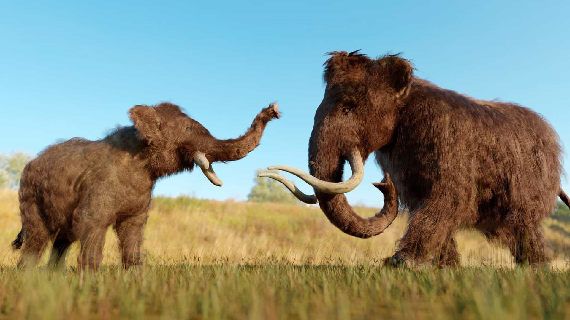 Mamutes podem voltar a existir após dez mil anos; entenda - Olhar Digital