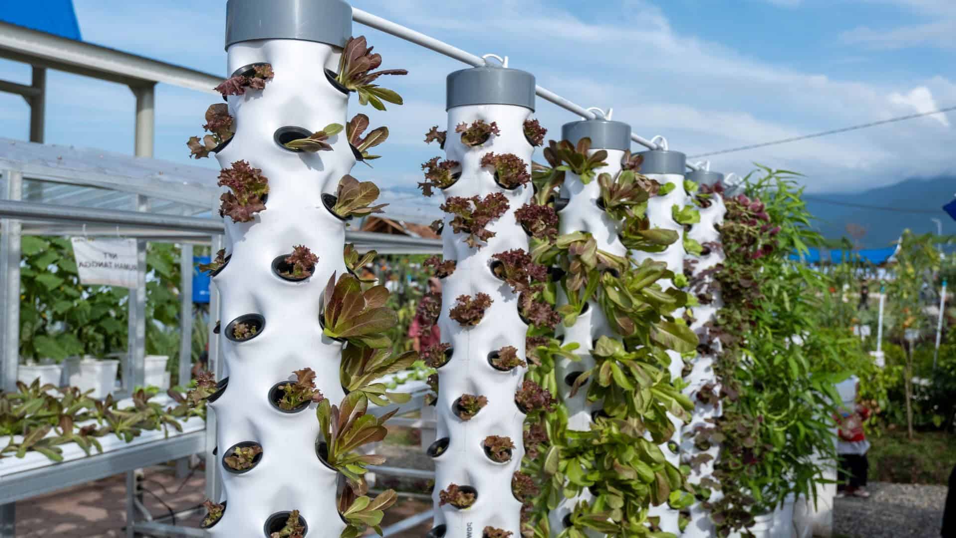 Fazenda vertical: como funciona a agricultura do futuro? - Olhar Digital