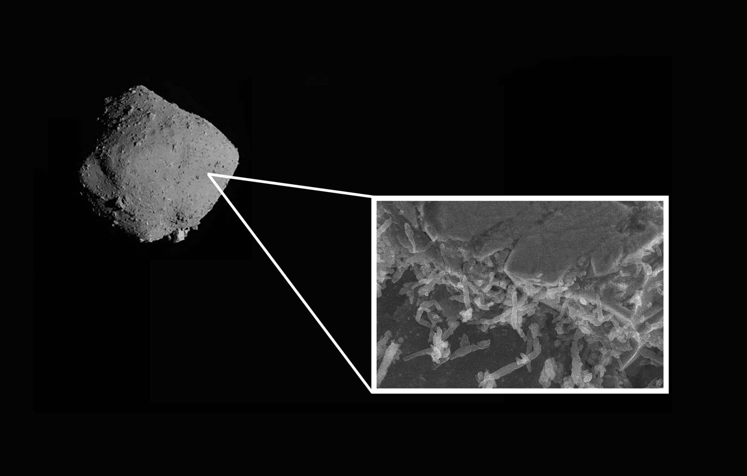 Amostra de asteroide é contaminada por bactérias da Terra - Olhar Digital