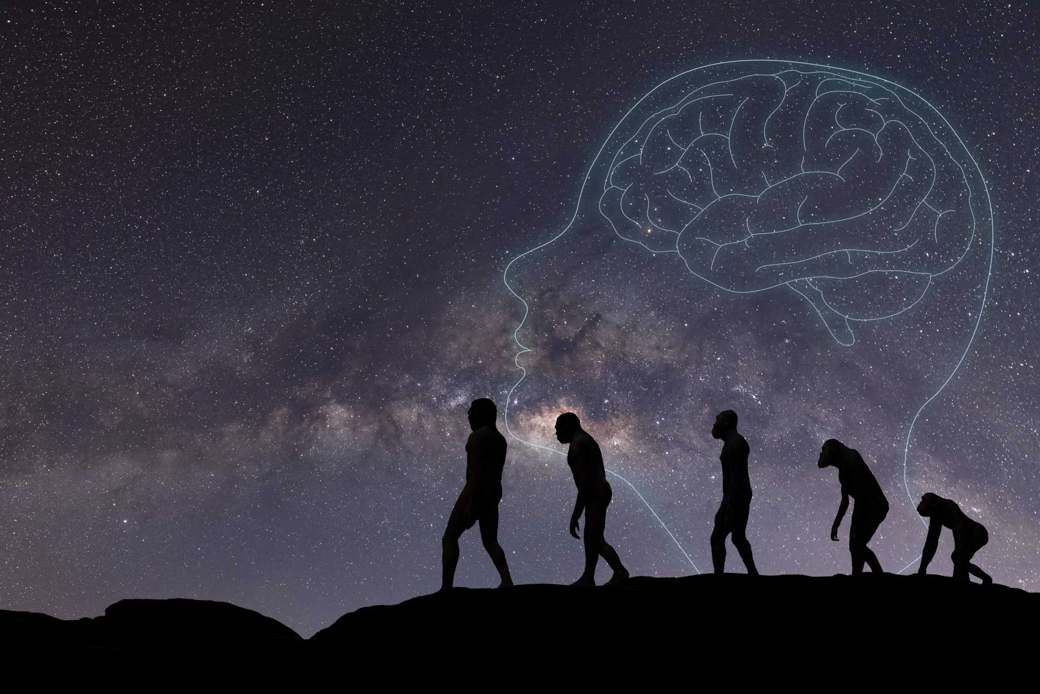 Descoberta muda o que sabemos sobre origem do Homo sapiens - Olhar Digital