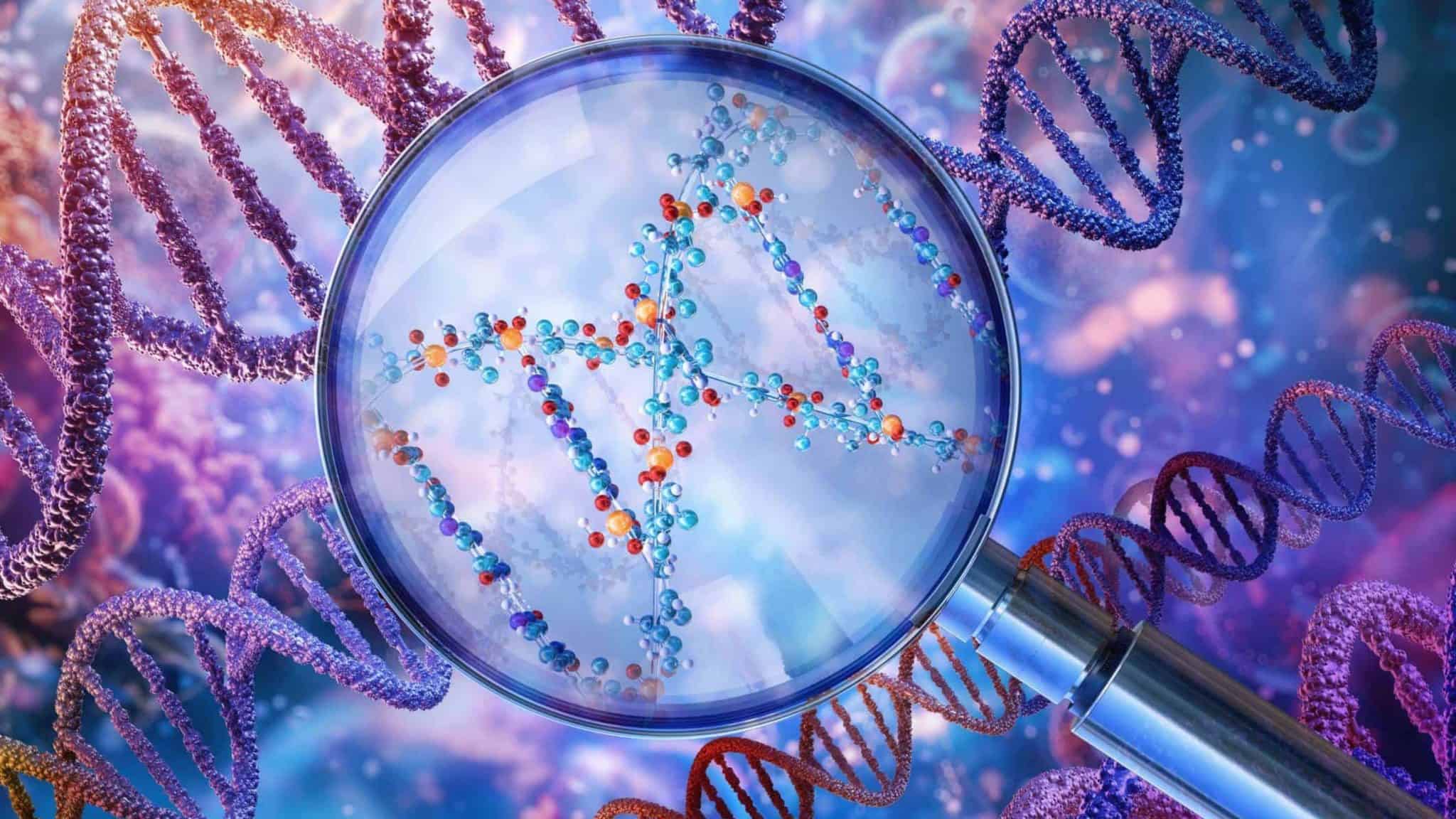 Como o teste de DNA funciona e comprova a paternidade?