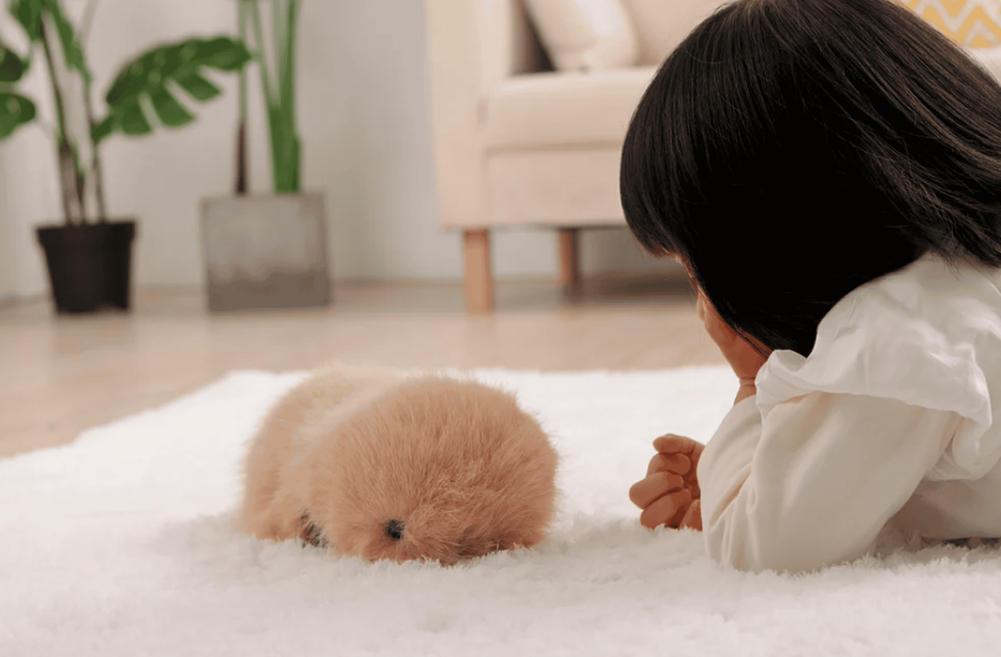 BooBoo: conheça o 'cão robô social' usado para ajudar jovens na China