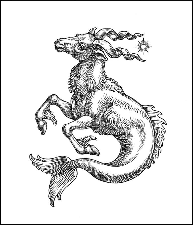 Quimerismo: o que é a condição genética e quais espécies de seres vivos ...