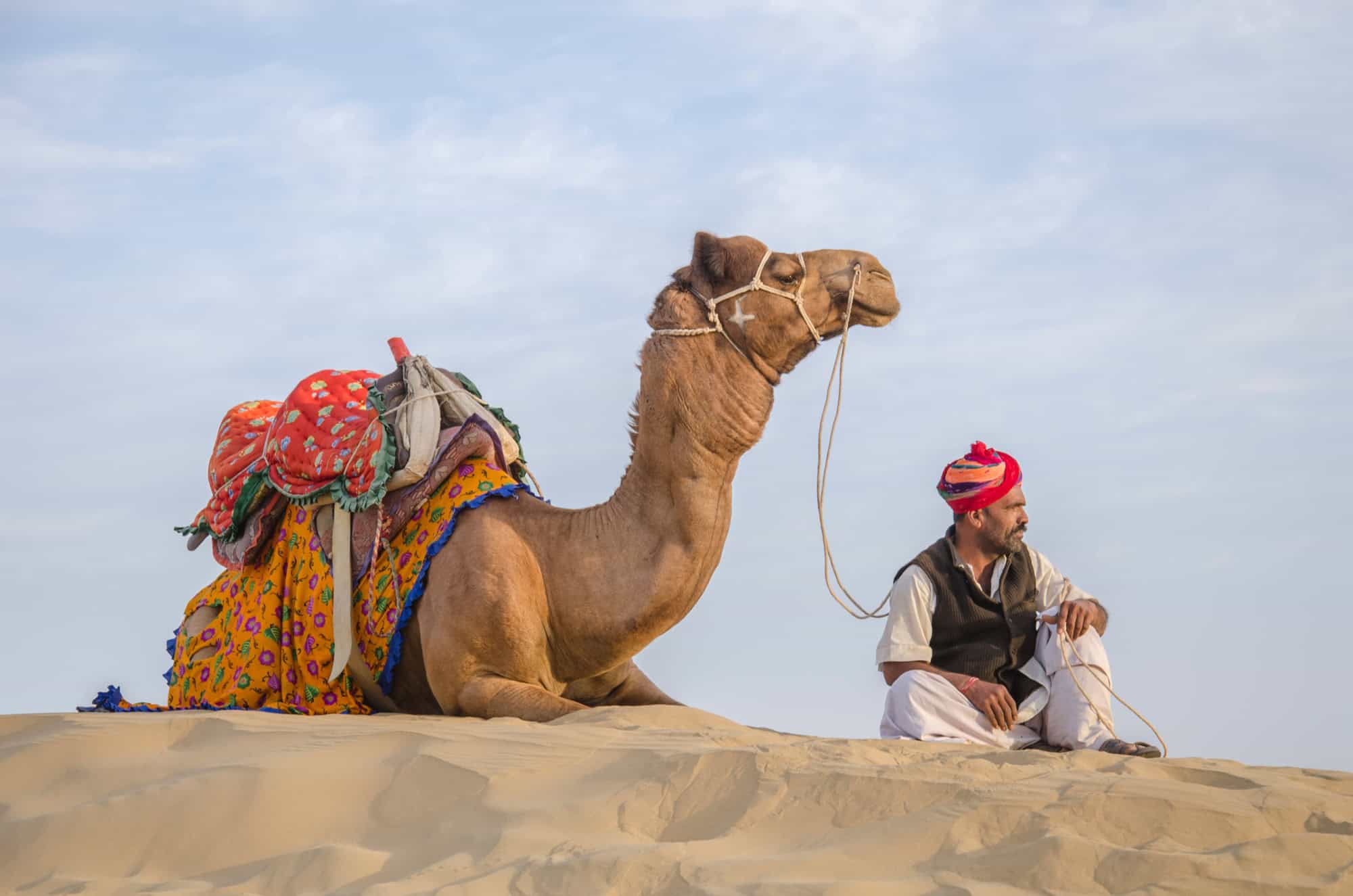 Conheça os 8 animais mais curiosos do deserto - Olhar Digital