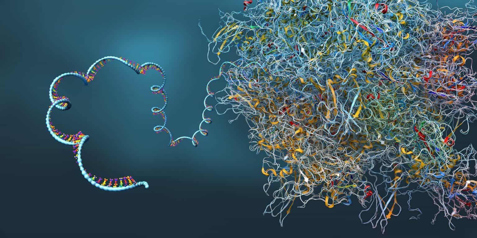 MicroRNA: o que é e qual a função dessa sequência de RNA