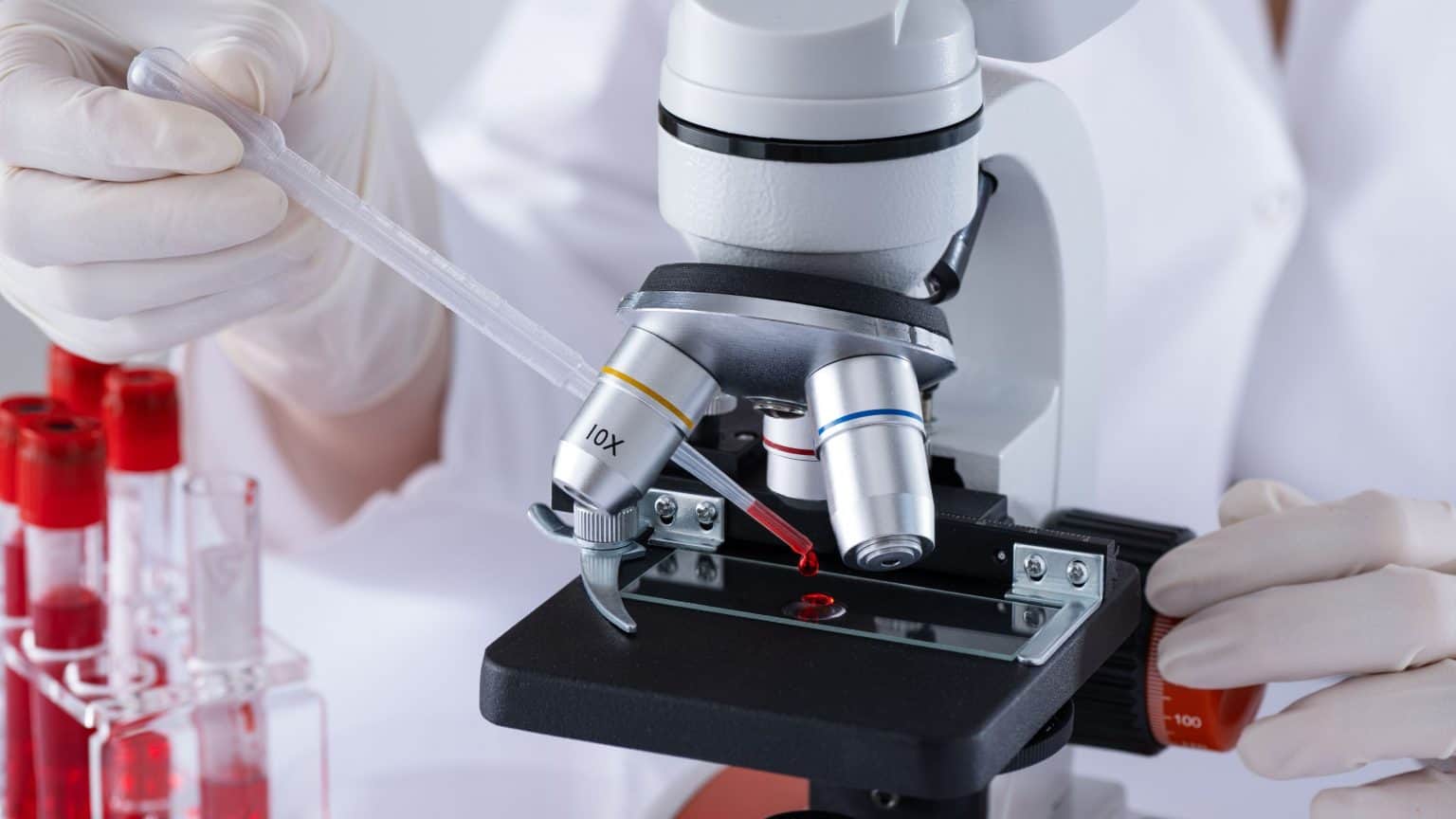 Como o teste de DNA funciona e comprova a paternidade?