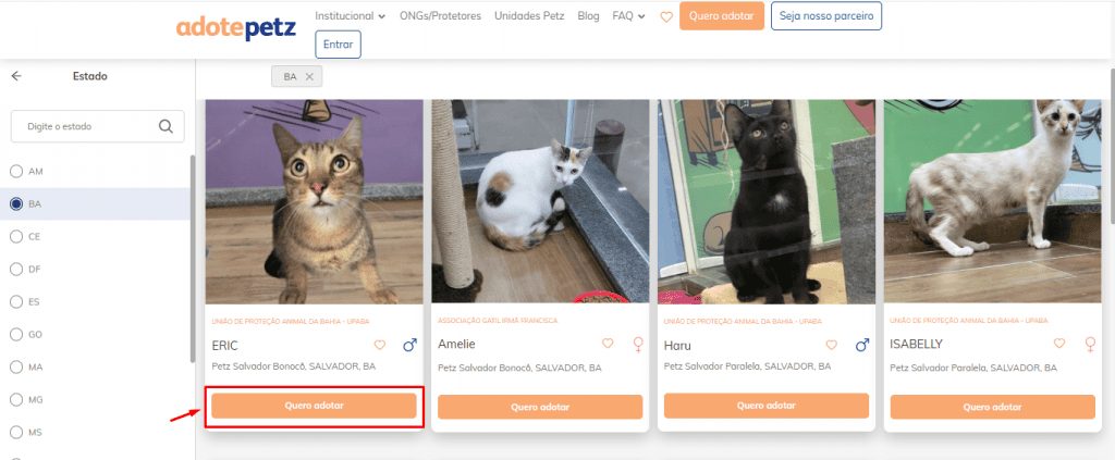 Como encontrar um cão ou gato para adoção pelo site Petz