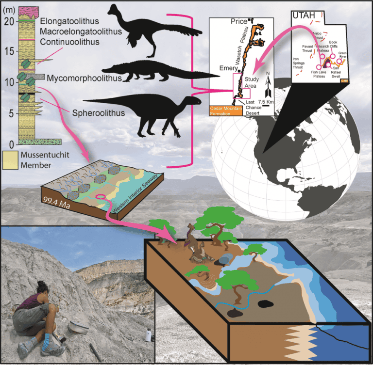 Ovos fósseis desvendam mistérios da evolução dos dinossauros