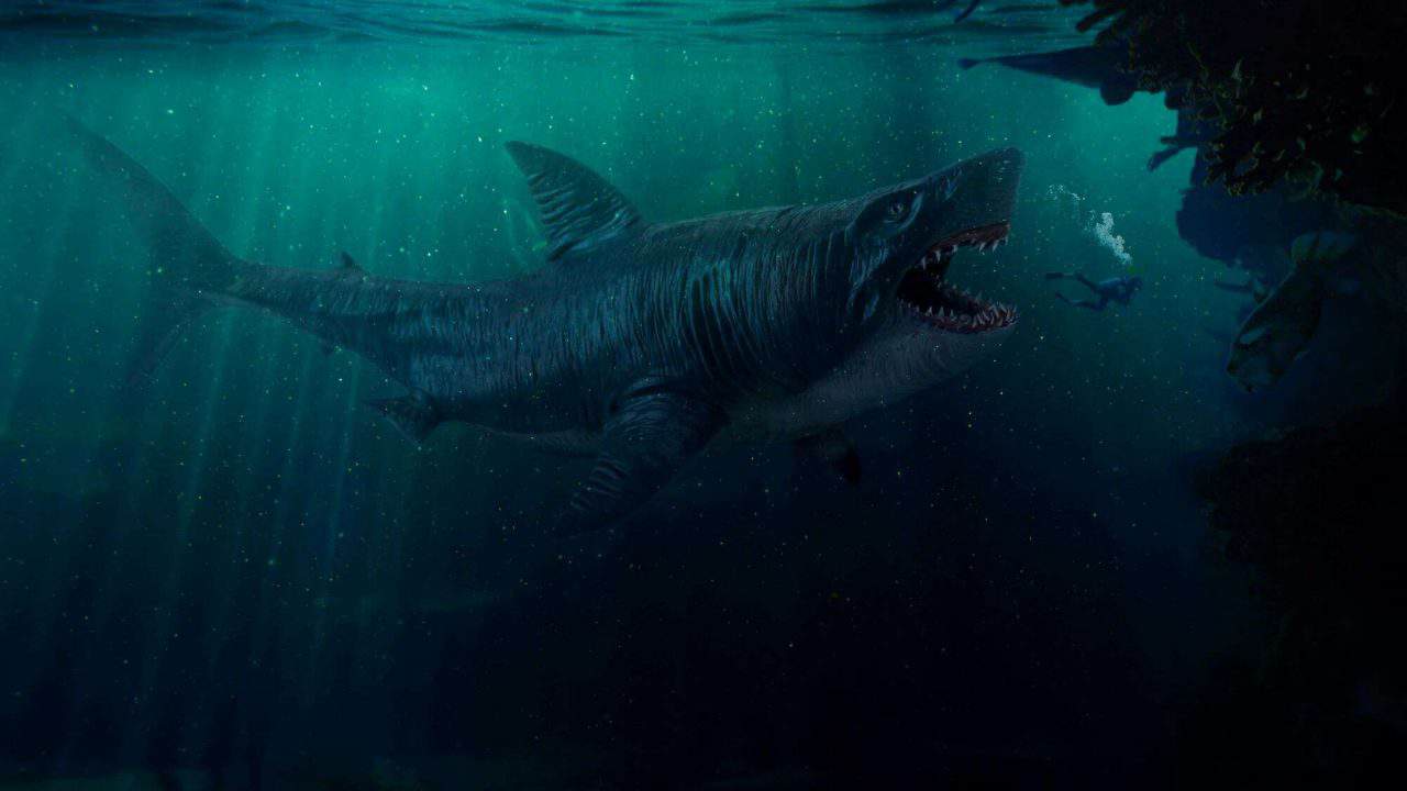 Megalodonte Pre Historico
