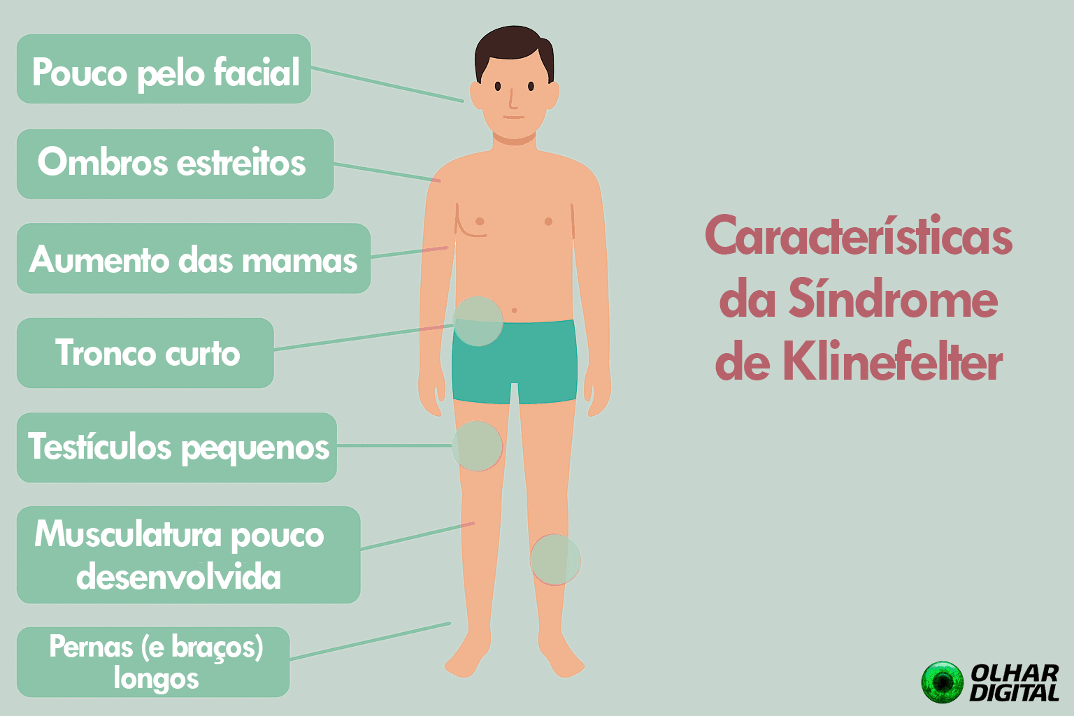 O que é a Síndrome de Klinefelter e como ela afeta os homens? - Olhar Digital