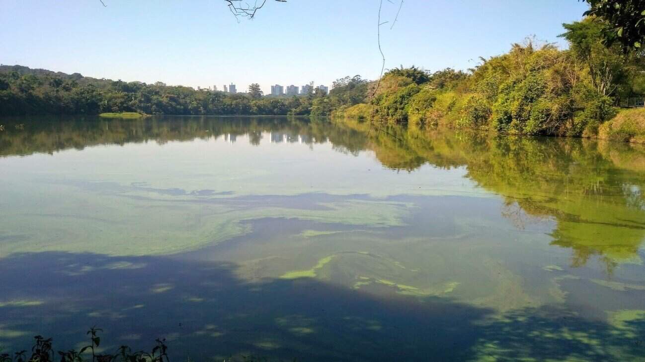 Lama de lago conta 100 anos de história da poluição em São Paulo