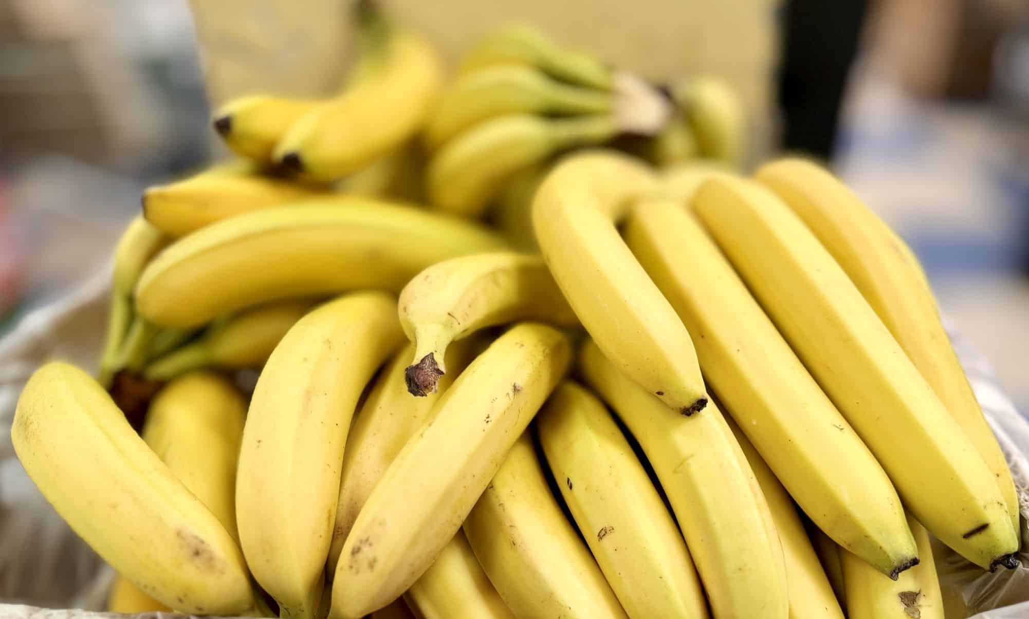 Humanos compartilham 60% do DNA com bananas? Saiba a verdade