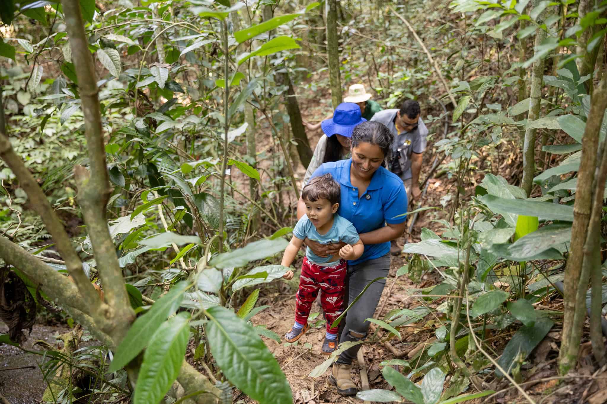 Conheça o projeto de Sebastião Salgado que ressuscitou floresta