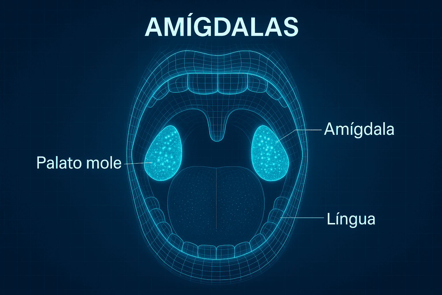 Para que servem as amígdalas da garganta? - Olhar Digital