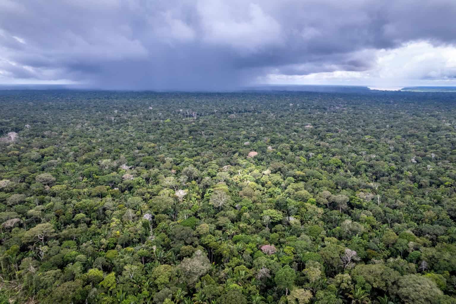 Conheça (e entenda) o que são os "rios voadores" da Amazônia - Olhar ...