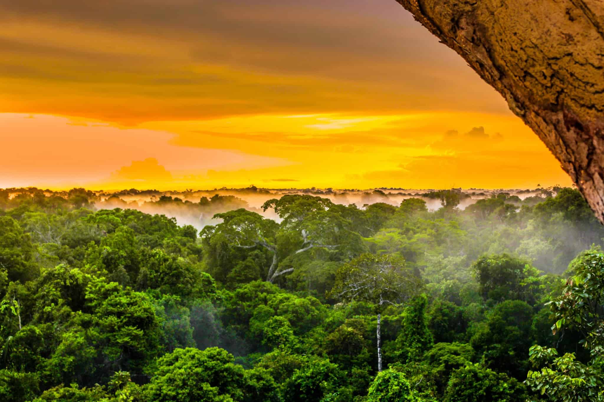 Conheça (e entenda) o que são os "rios voadores" da Amazônia - Olhar ...