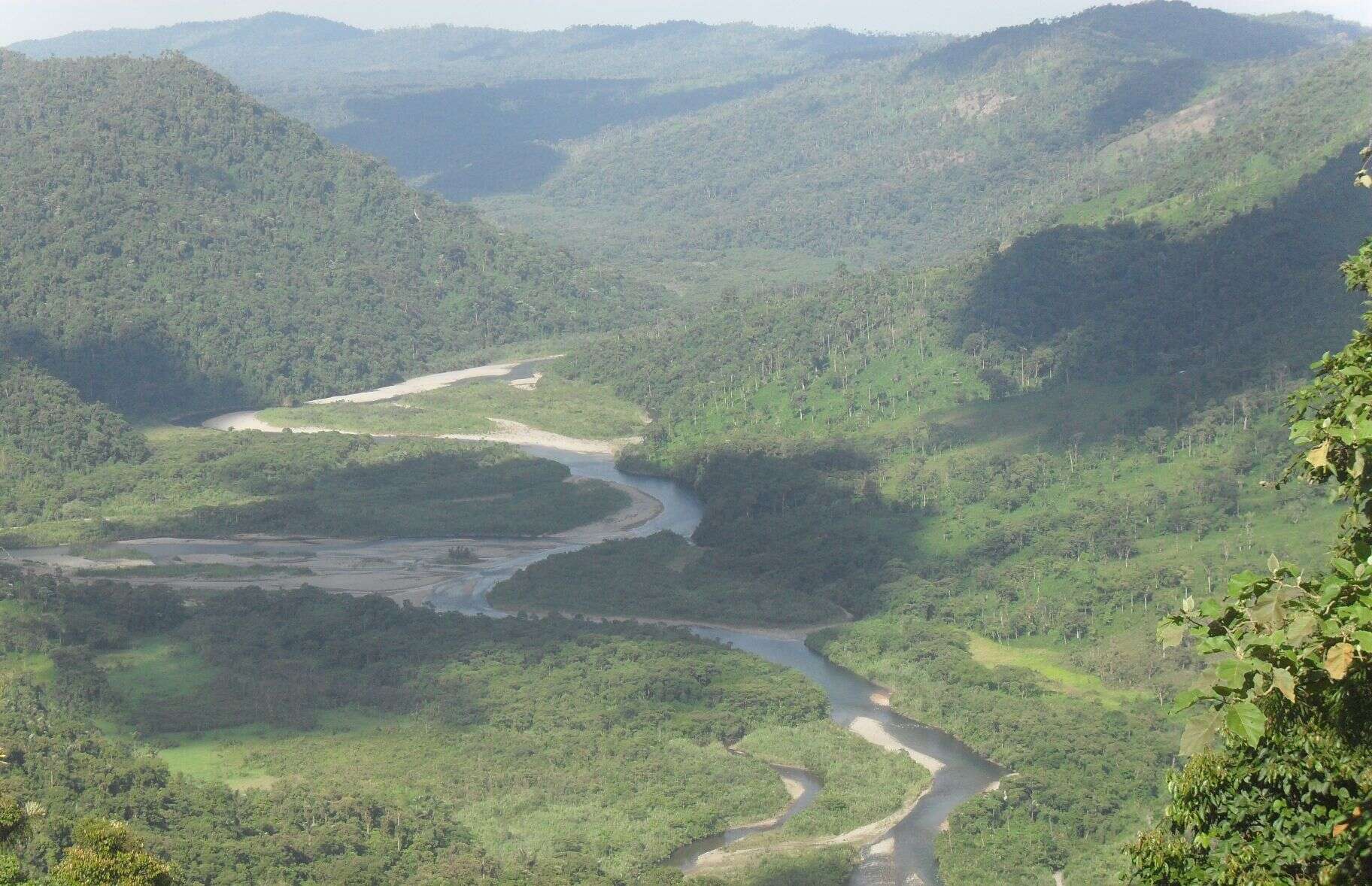 Cidade Perdida da Amazônia: a civilização que viveu escondida na floresta