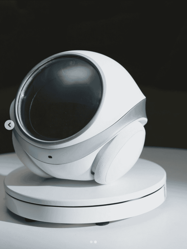 CES 2026: conheça Vex, robô que segue seu pet